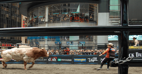 Bull-Riding Championship Brings Cowboys, Bucking Bulls to Times Square