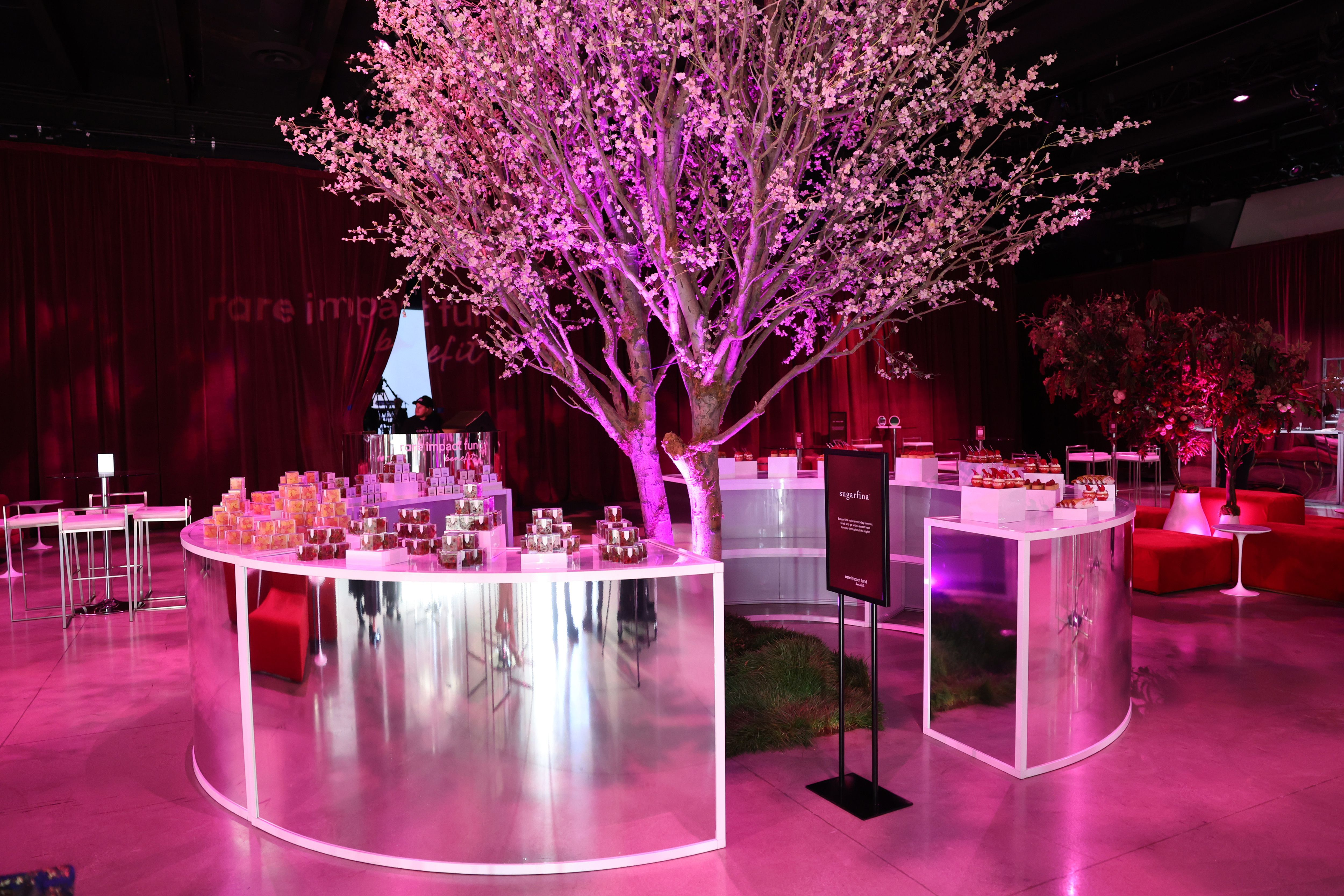 Cool Event Ideas From October 2024