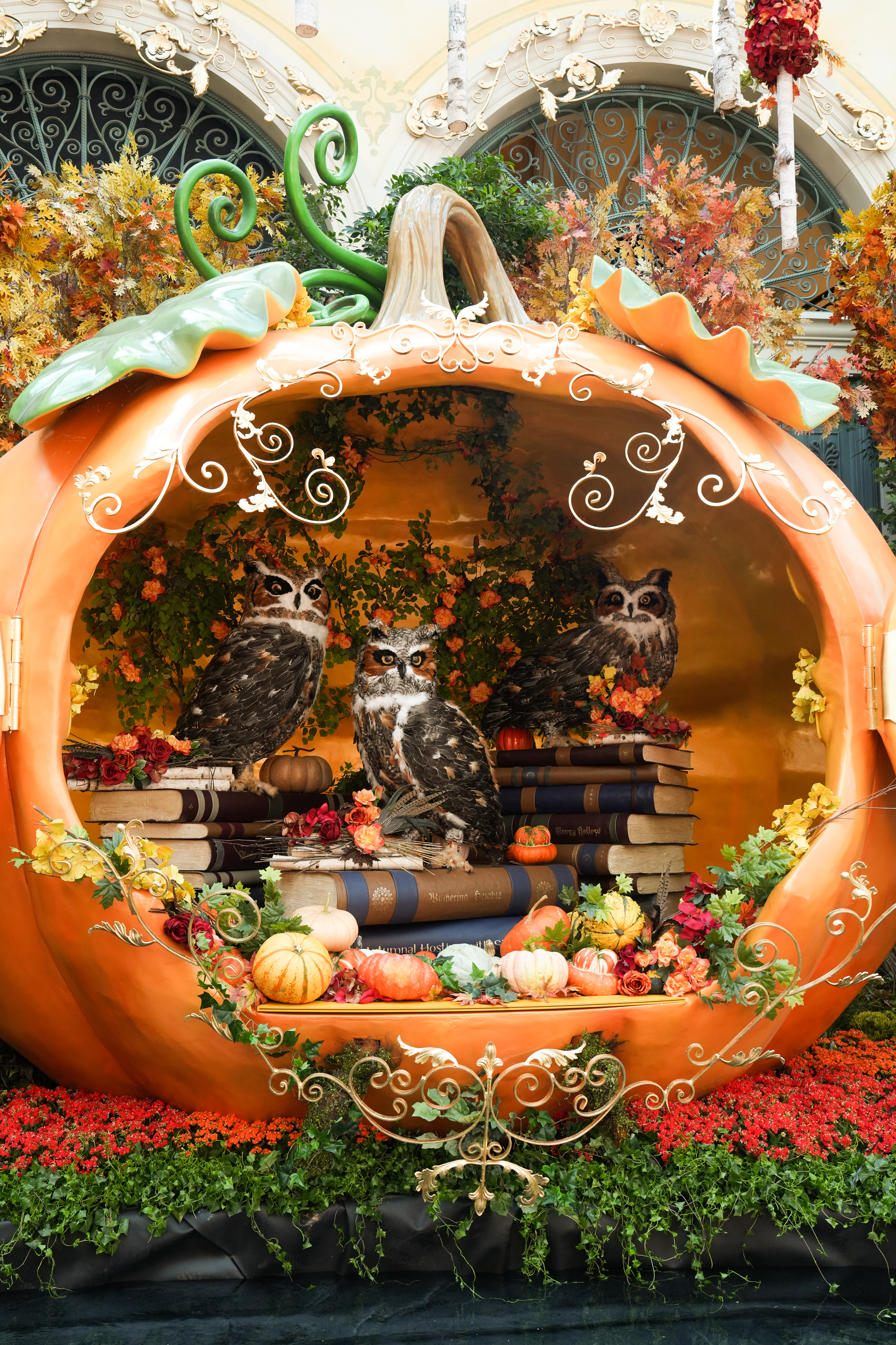Immersive Decor Ideas for Fall Events