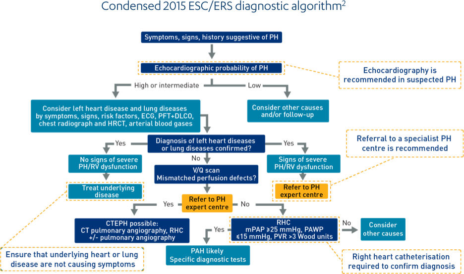 The diagnosis of pulmonary arterial hypertension | Janssen