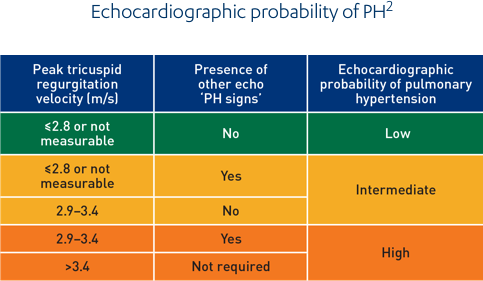 The diagnosis of pulmonary arterial hypertension | Janssen