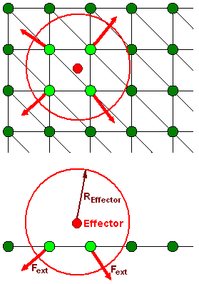 2D Surface Deformation