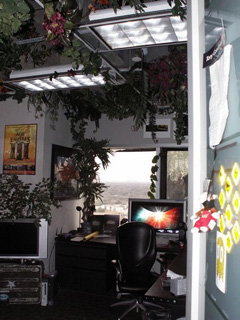 Ensemble Studios: The Last Tour