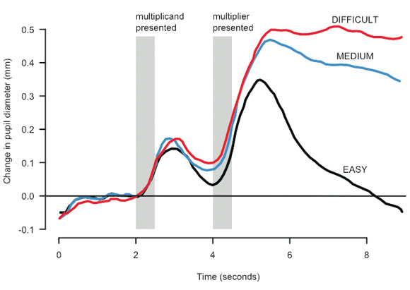 Programmer, Interrupted