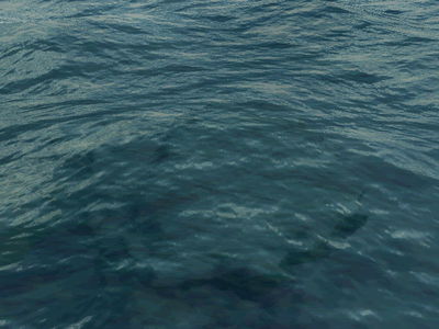 Deep Water Animation and Rendering