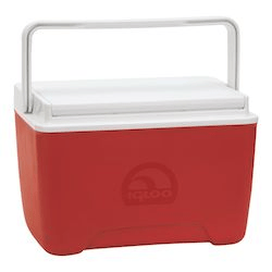 Igloo to Expand Homewares Offerings | License Global