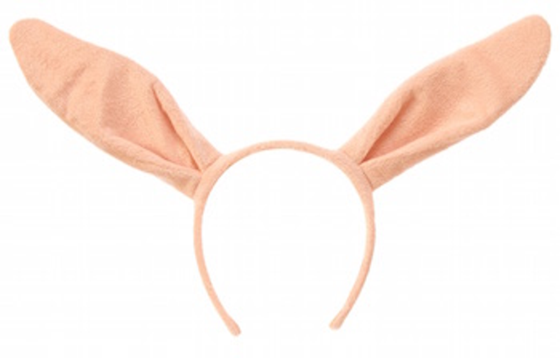 DreamWorks' Olivia Arrives at Gymboree | License Global