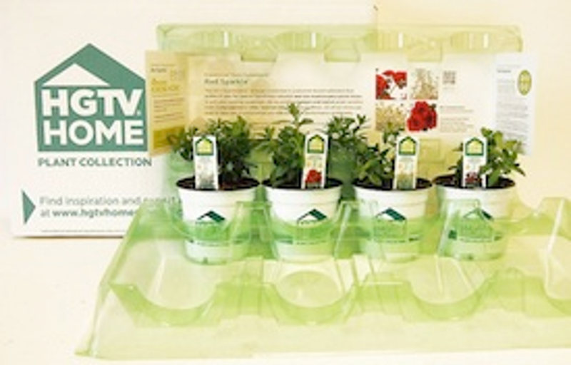 HSN Partners with HGTV | License Global