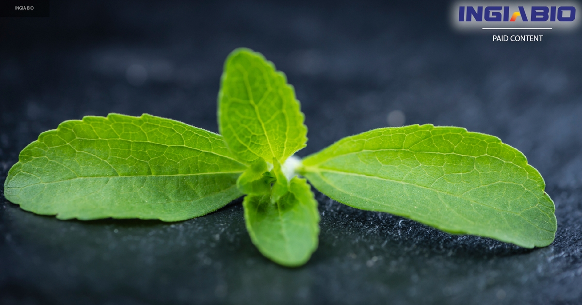 Tackling supply chain, formulation challenges with stevia and monk ...