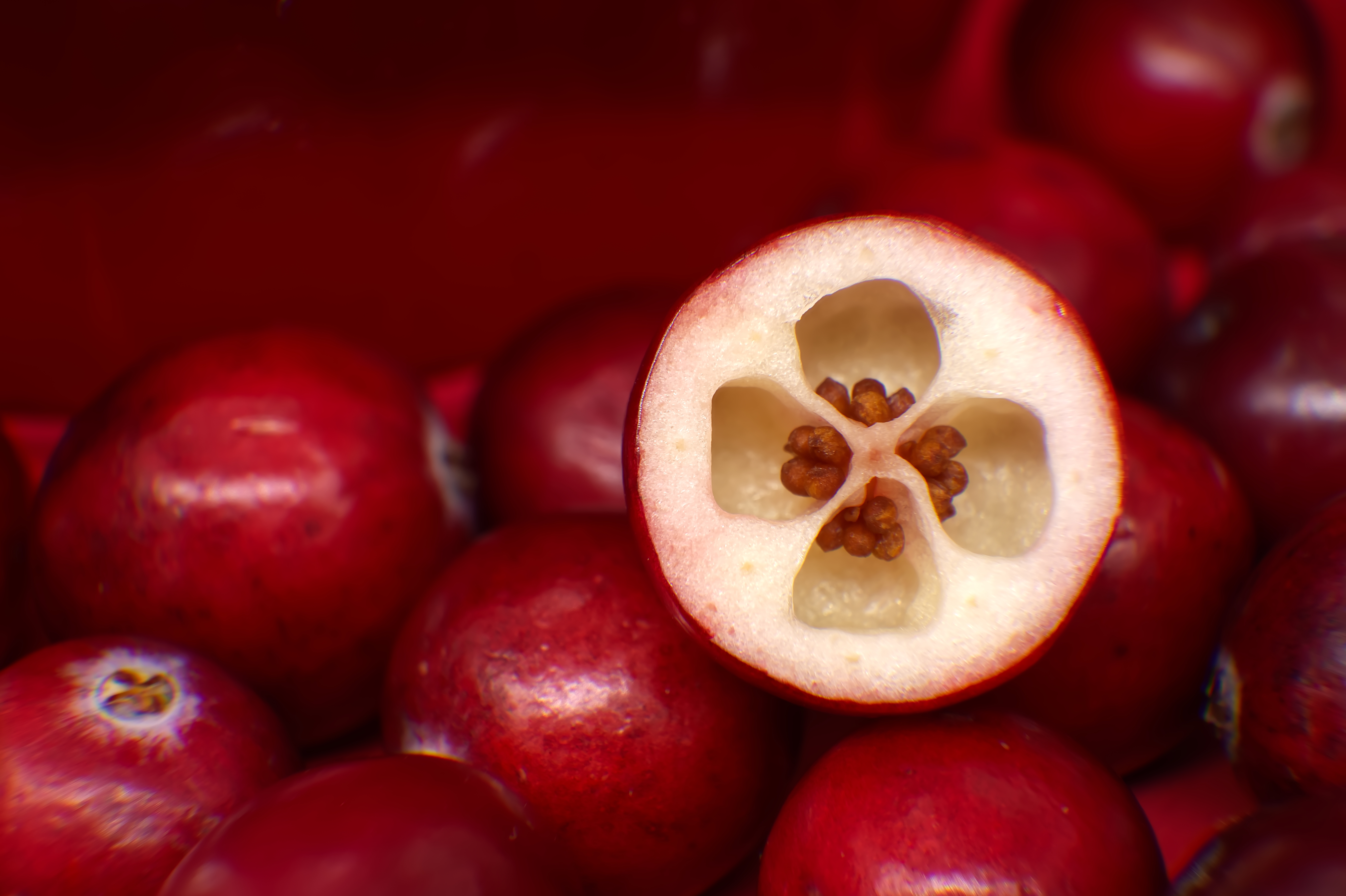 Cranberry innovation takes center stage