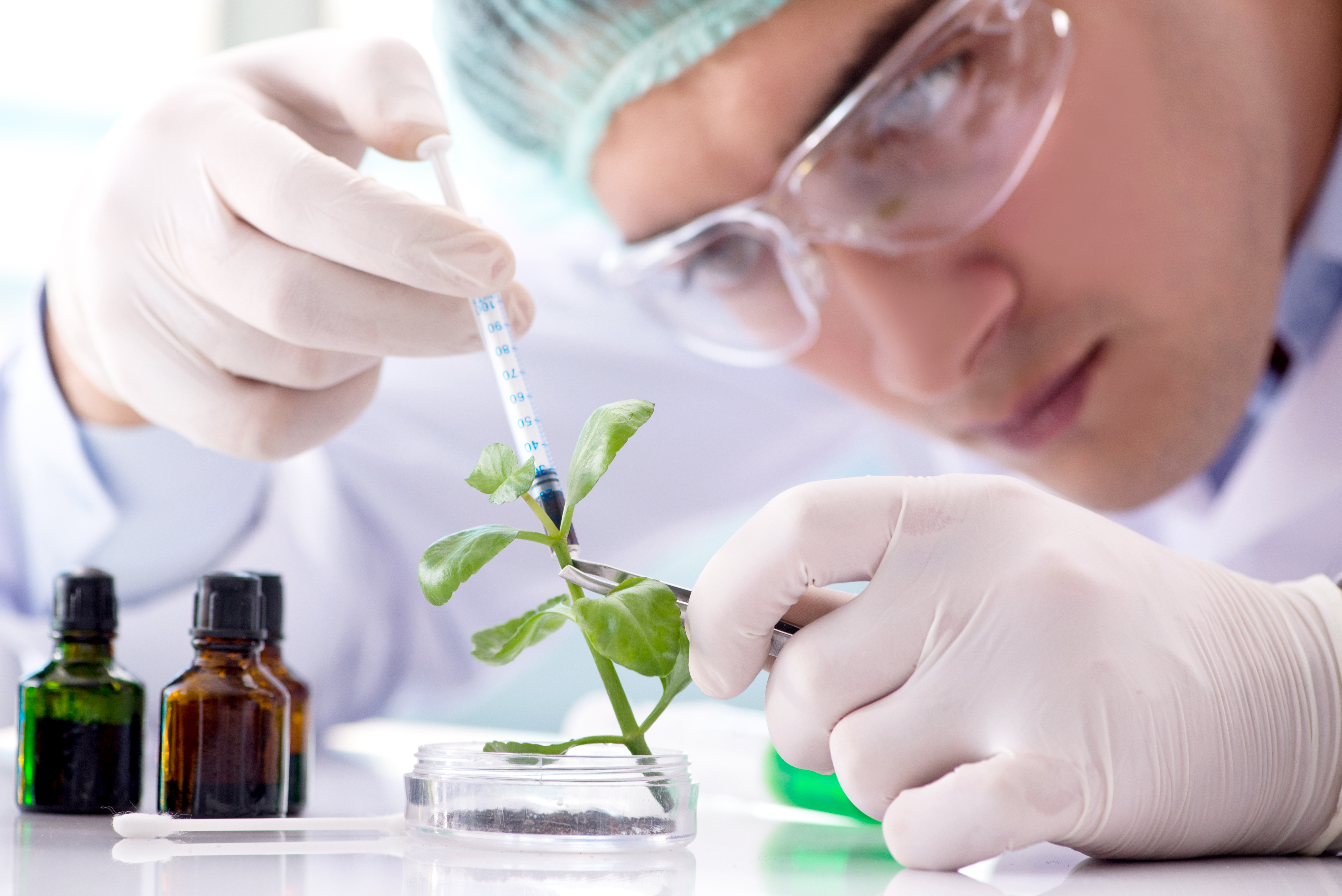 FDA issues new guidance on genetically engineered foods