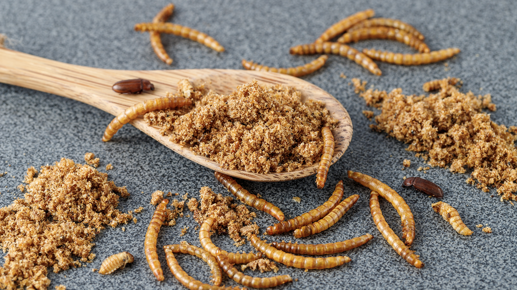 Ÿnsect receives approval for mealworm protein by AAFCO