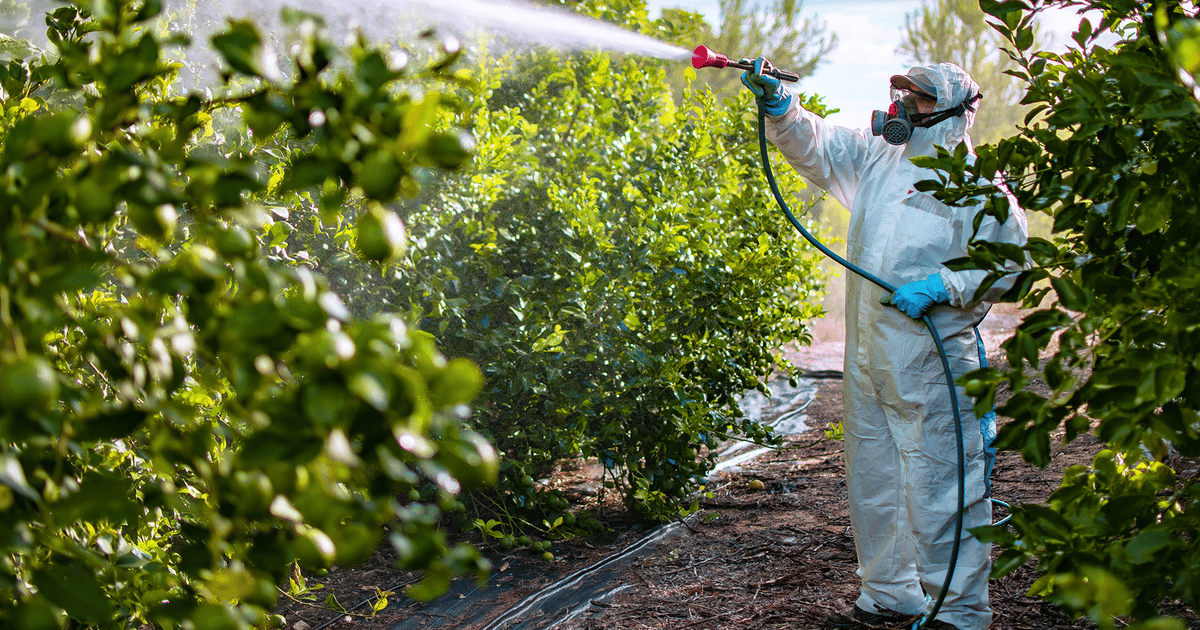 FDA releases 2021 Pesticide Report