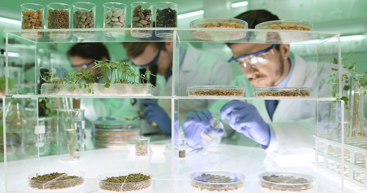 FDA issues new guidance on genetically engineered foods