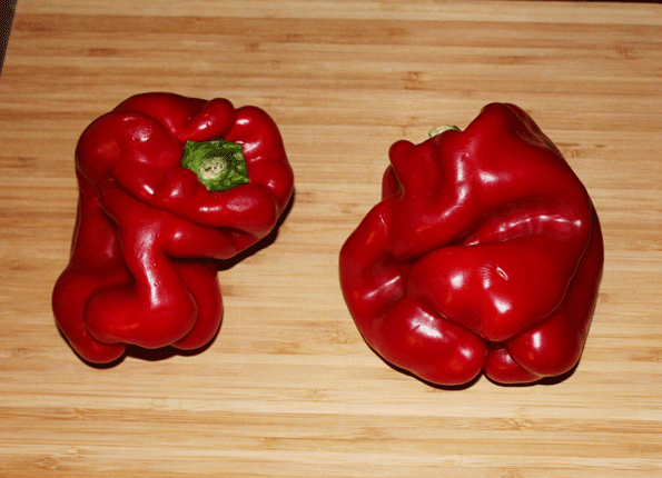 Seeing the beauty in 'ugly' produce