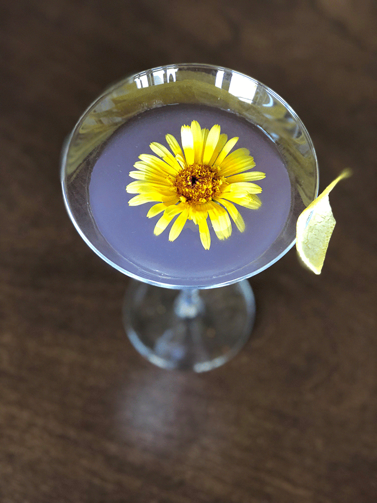 Hibiscus blossoms on menus