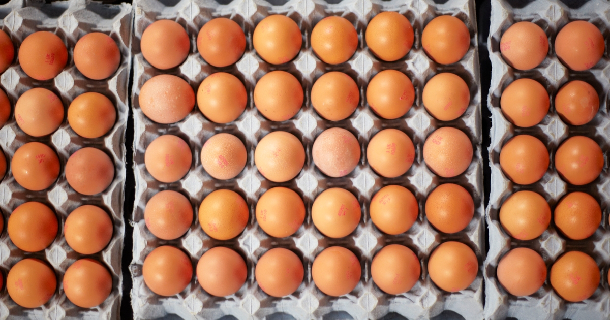 How restaurant operators balance food costs and pricing amid inflation