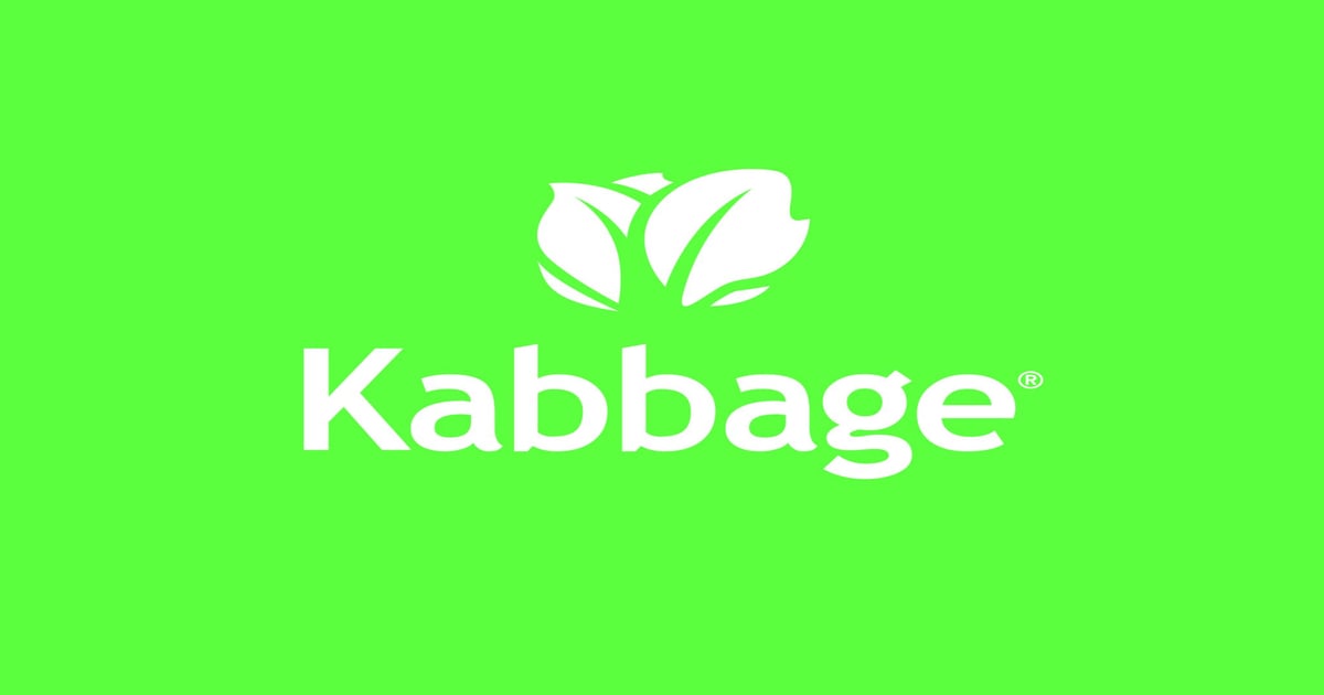 Kabbage plans payment processing by year end