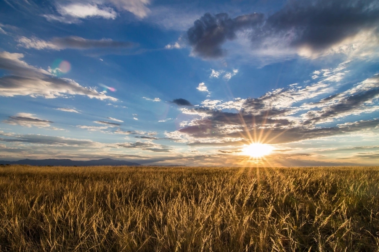 UK fintech Gresham Technologies to be acquired by STG Partners for £147m