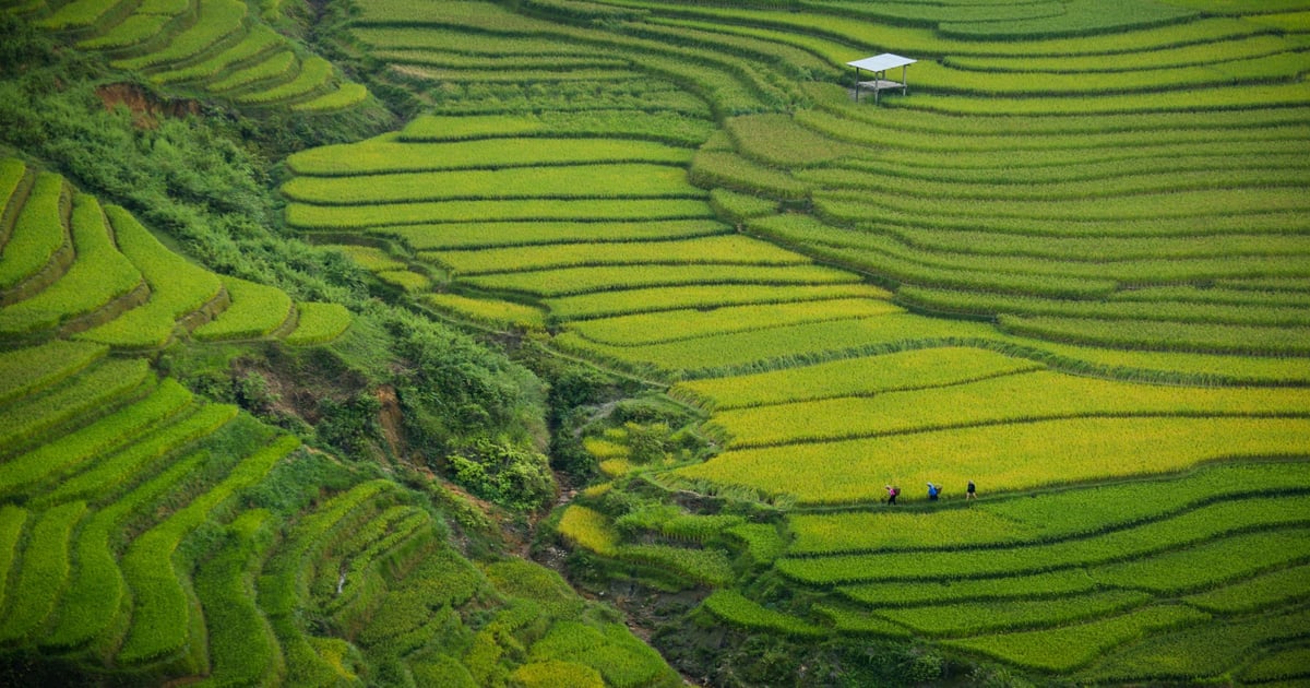 New FinTech Futures Report: Creating financial inclusivity in a digital ...