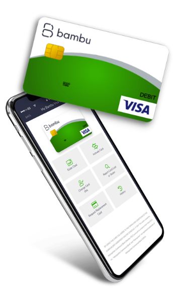 US challenger Bambu picks FIS Modern Banking Platform