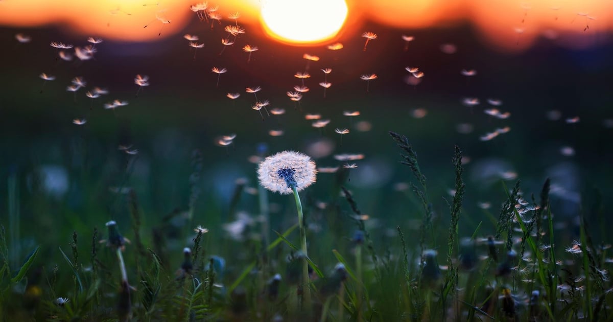 Constant change is not normal, but it is necessary