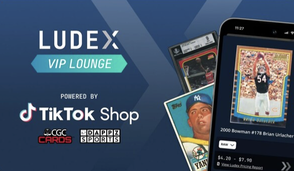 Behind the Scenes: Ludex and Partners Elevate VIP Experience at ...