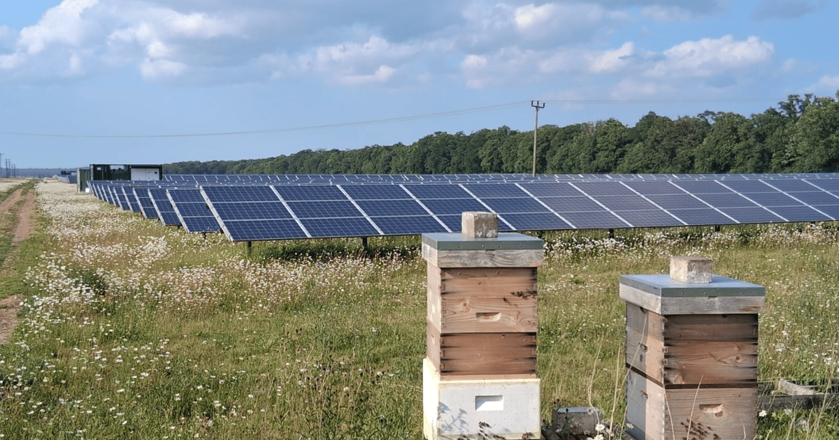 Low Carbon completes £500 million refi for solar and storage