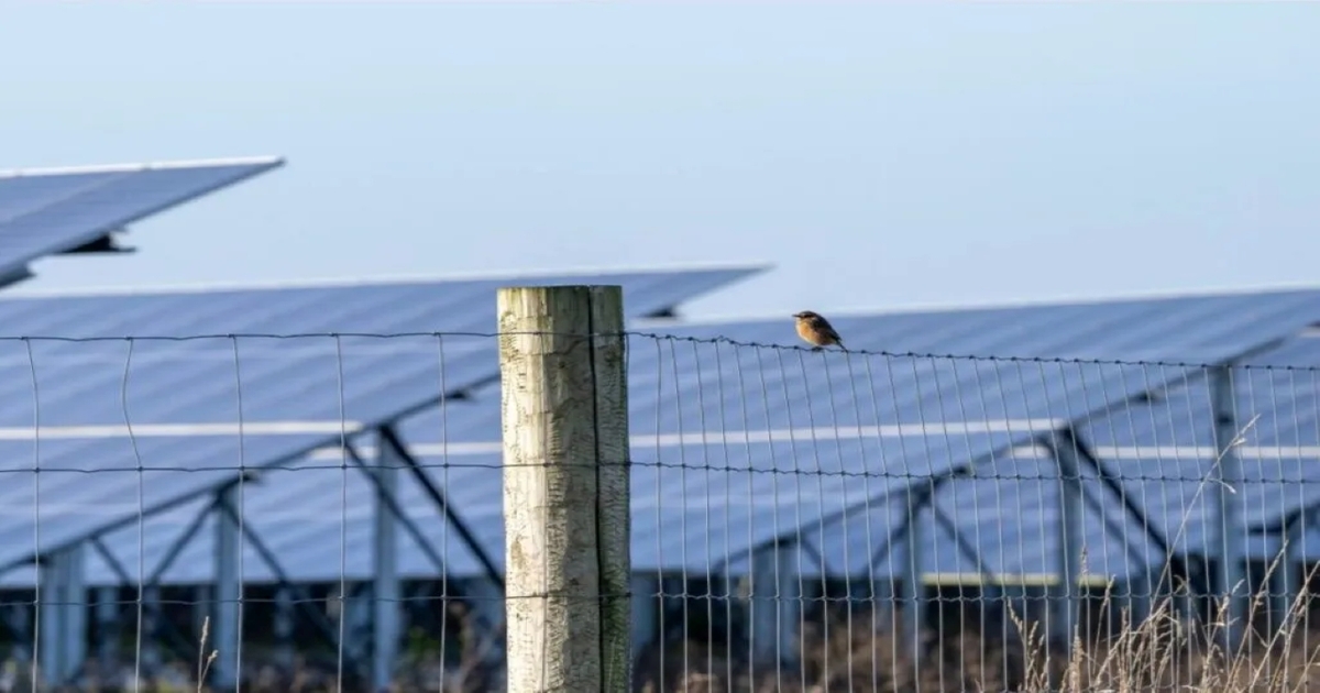 UK solar, battery experts connect in interview series