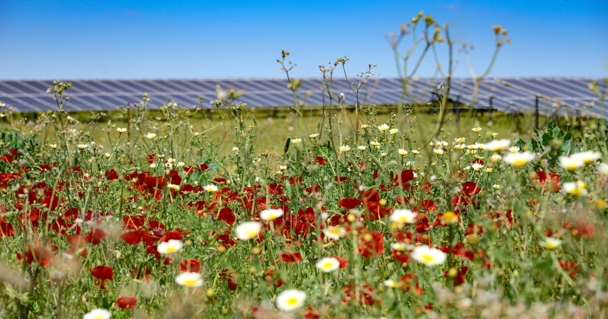 Baywa r.e. sells 63MW Hampshire solar project to Capital Dynamics