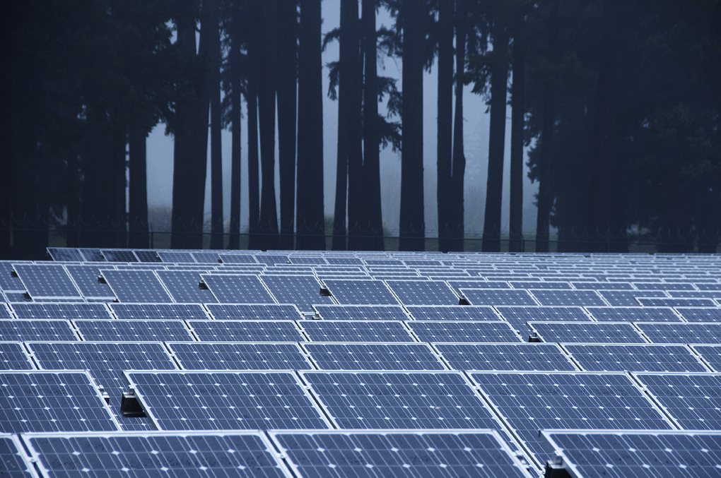 Secretary of State delays Mallard Pass Solar Farm decision