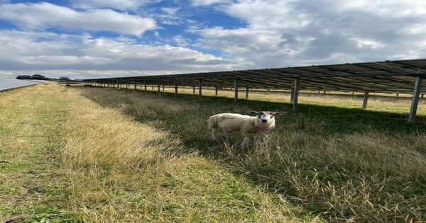 Renewable Connections gets green light for 49.9MW solar farm in the ...