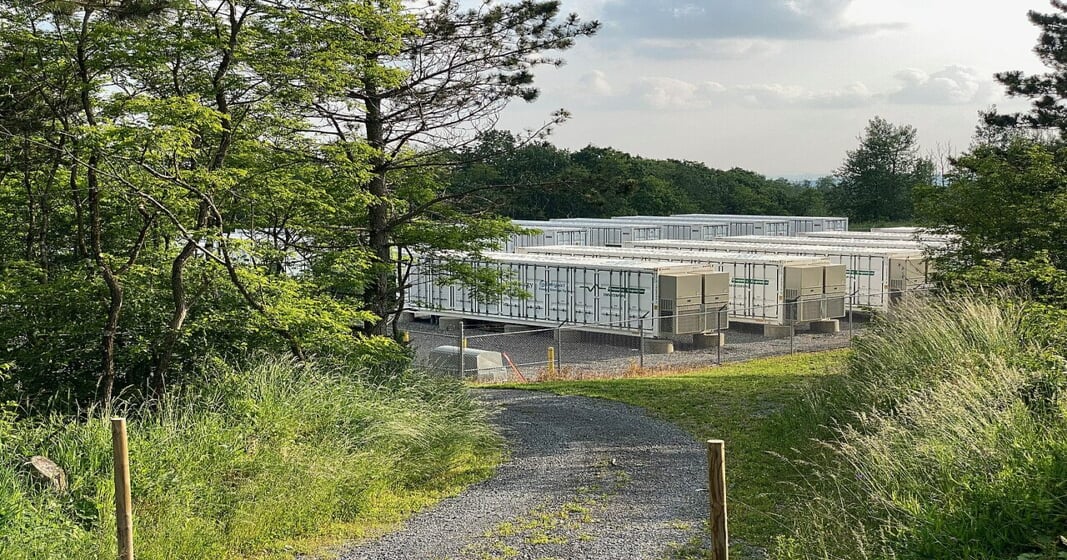 Pulse Clean Energy and Habitat Energy activate 100MWh of battery ...