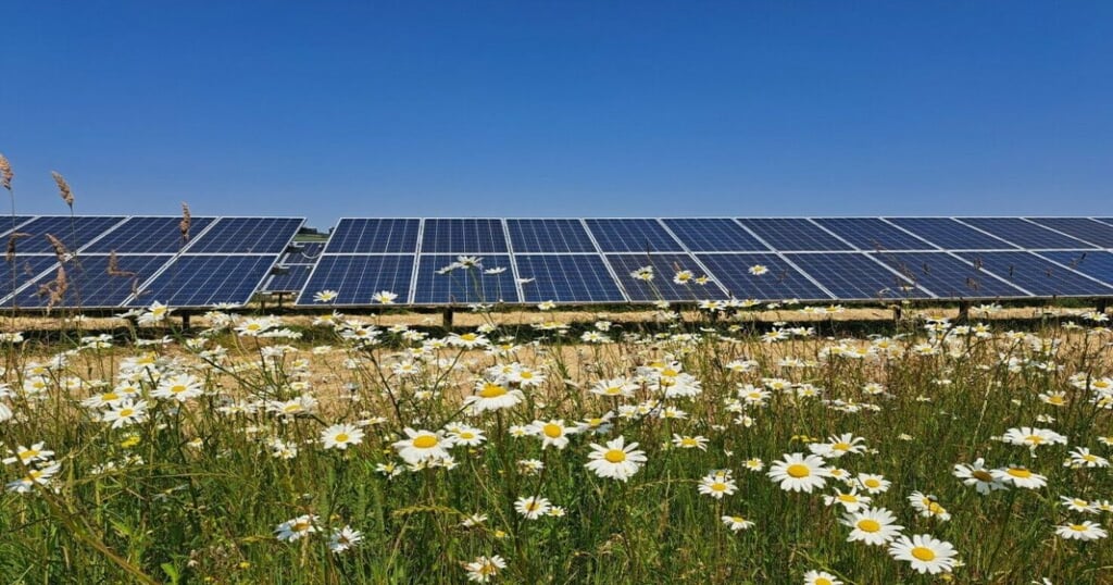 RES submits application for 29MW Magheralin Solar Farm