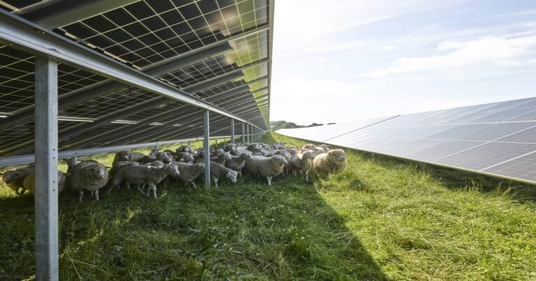 Asahi signs PPA to receive clean energy from 19MW solar farm - Solar ...