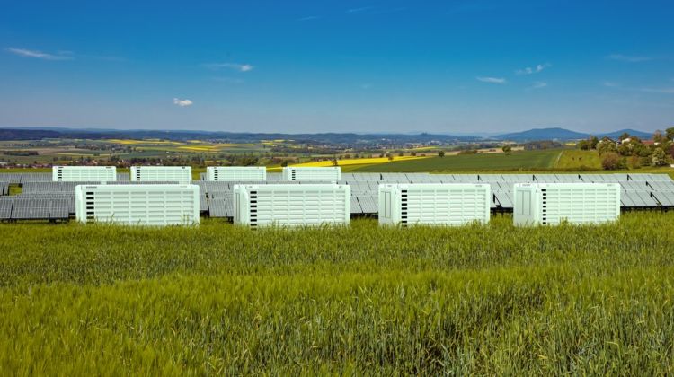 Battery storage could slash curtailment costs by 80% annually