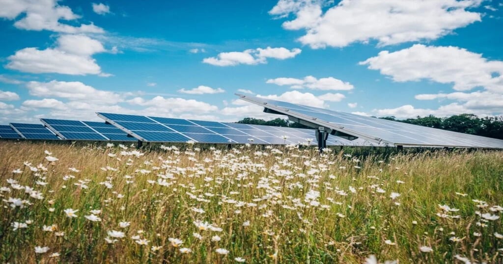 EDF acquires Gate Burton solar NSIP from Low Carbon