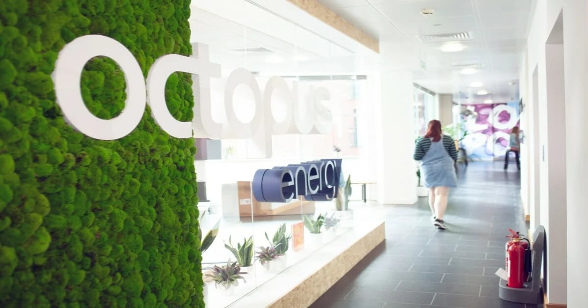 Octopus Energy enters German solar PV market - Solar Power Portal