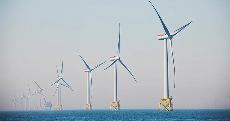 OWIC sets measures to coordinate action on underwater noise - Solar ...