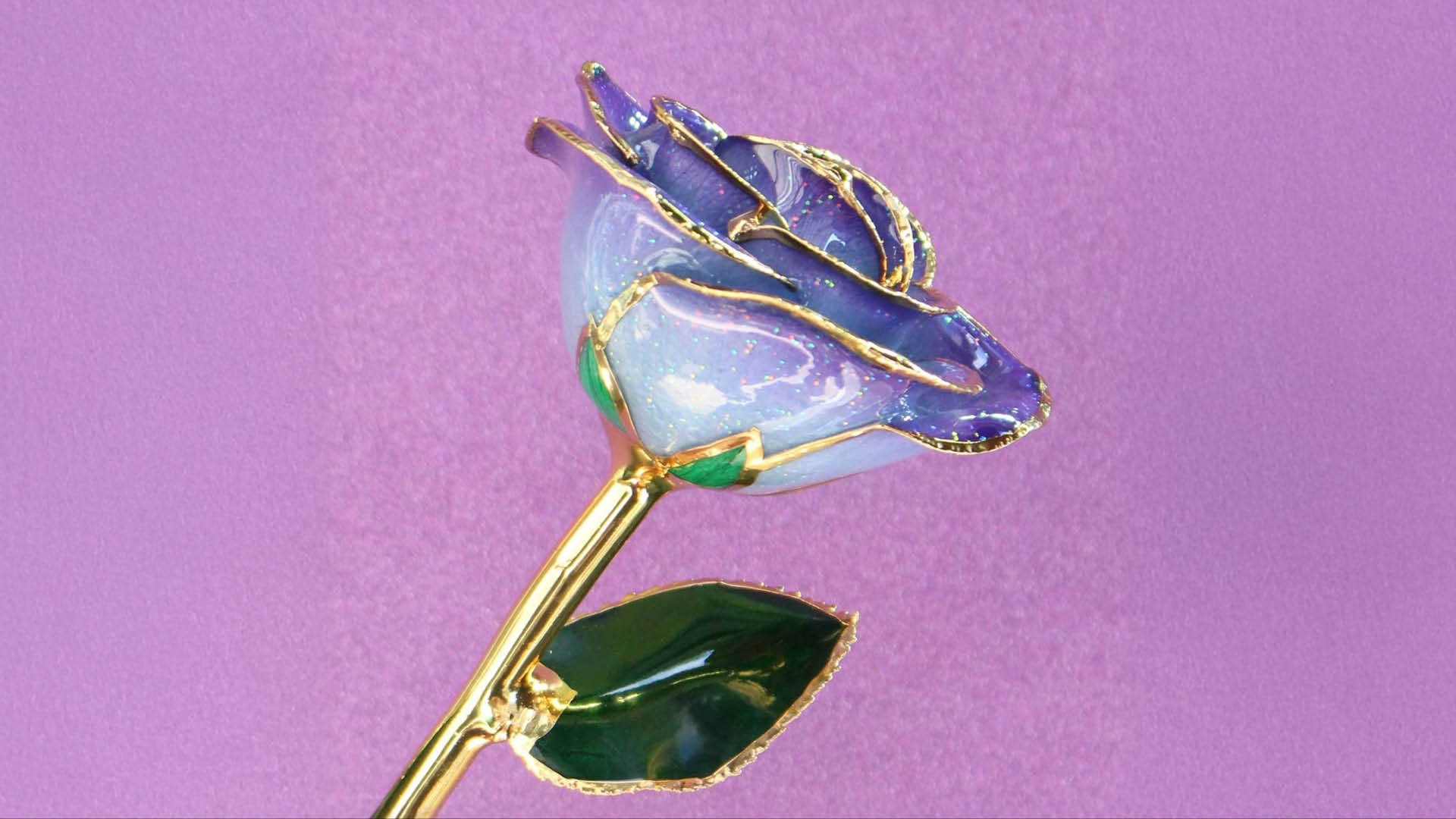 Primark Unveils Exclusive ‘Wednesday’ Collection