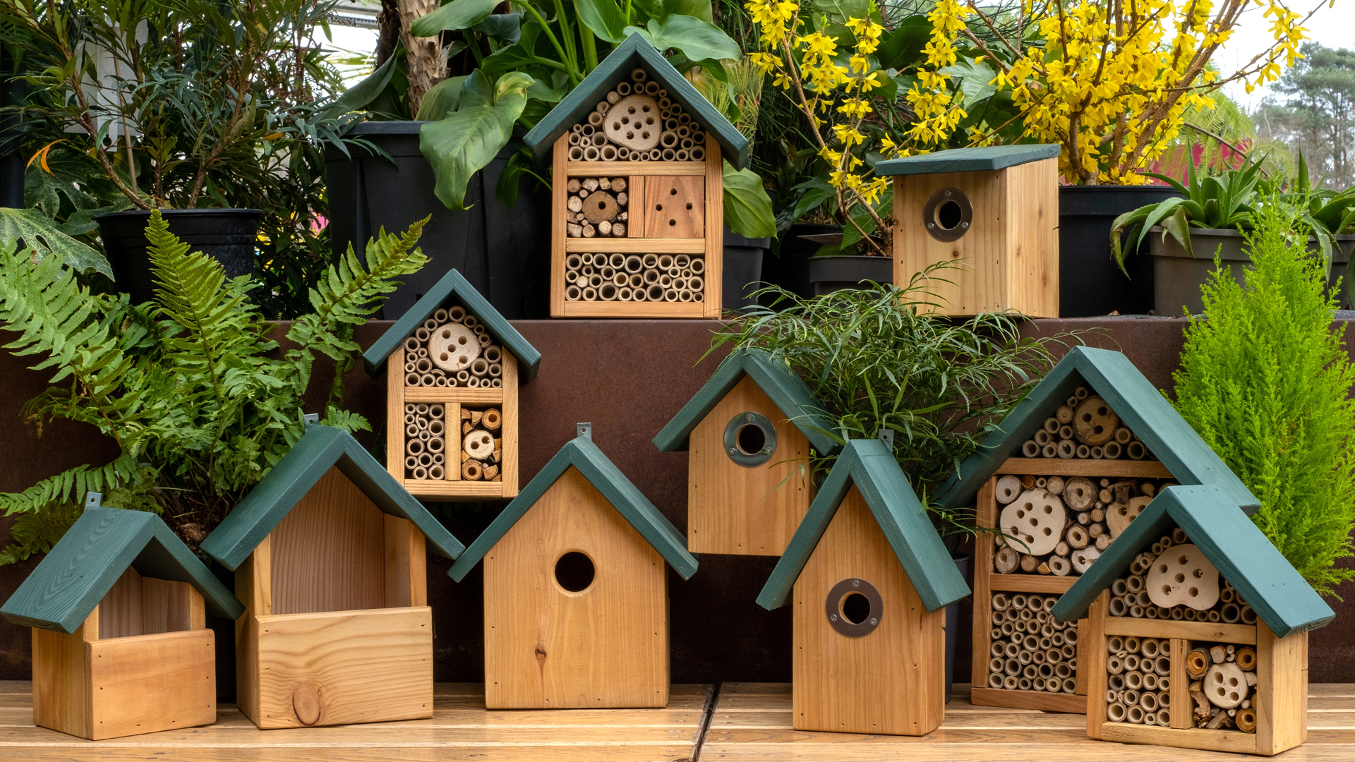 RHS, Wildlife and Birdcare Nature Recovery Project Partner