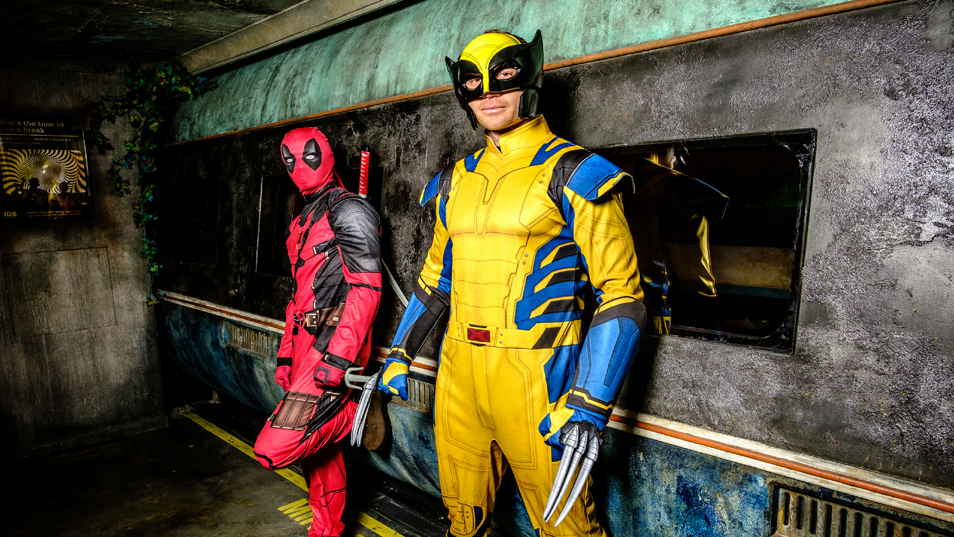 The Dominant Player in the Licensed Costume Space