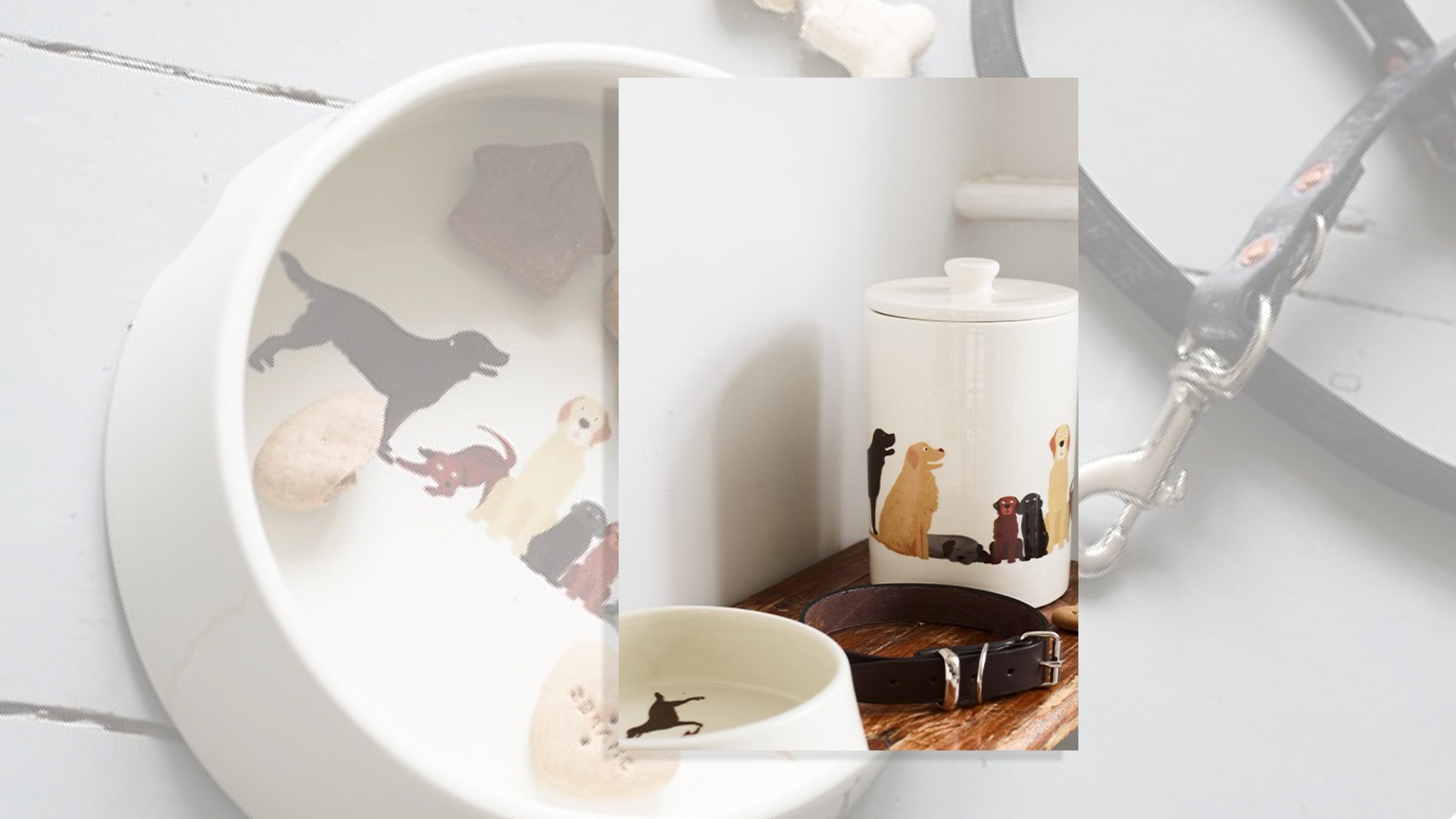 Guide Dogs for the Blind Launch Home and Pet Products with Fenella ...