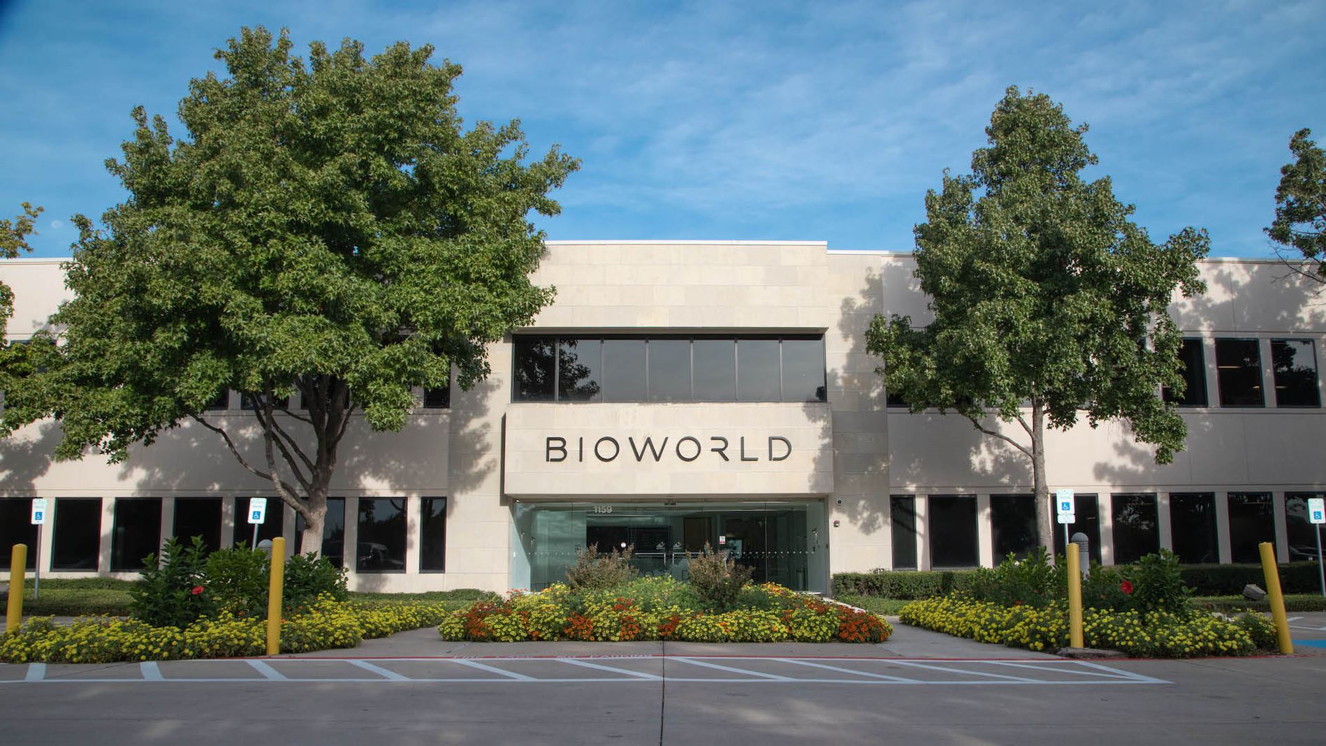 10 Minutes With … Bioworld | License Global