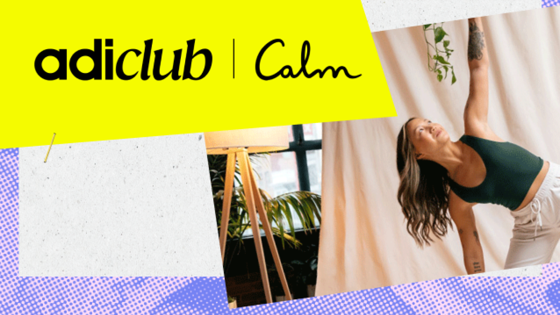 Calm Plans to Use Licensing to Scale Its Growing Wellness Brand