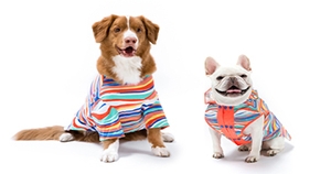 Target Unveils Oh Joy! Pet Line | License Global