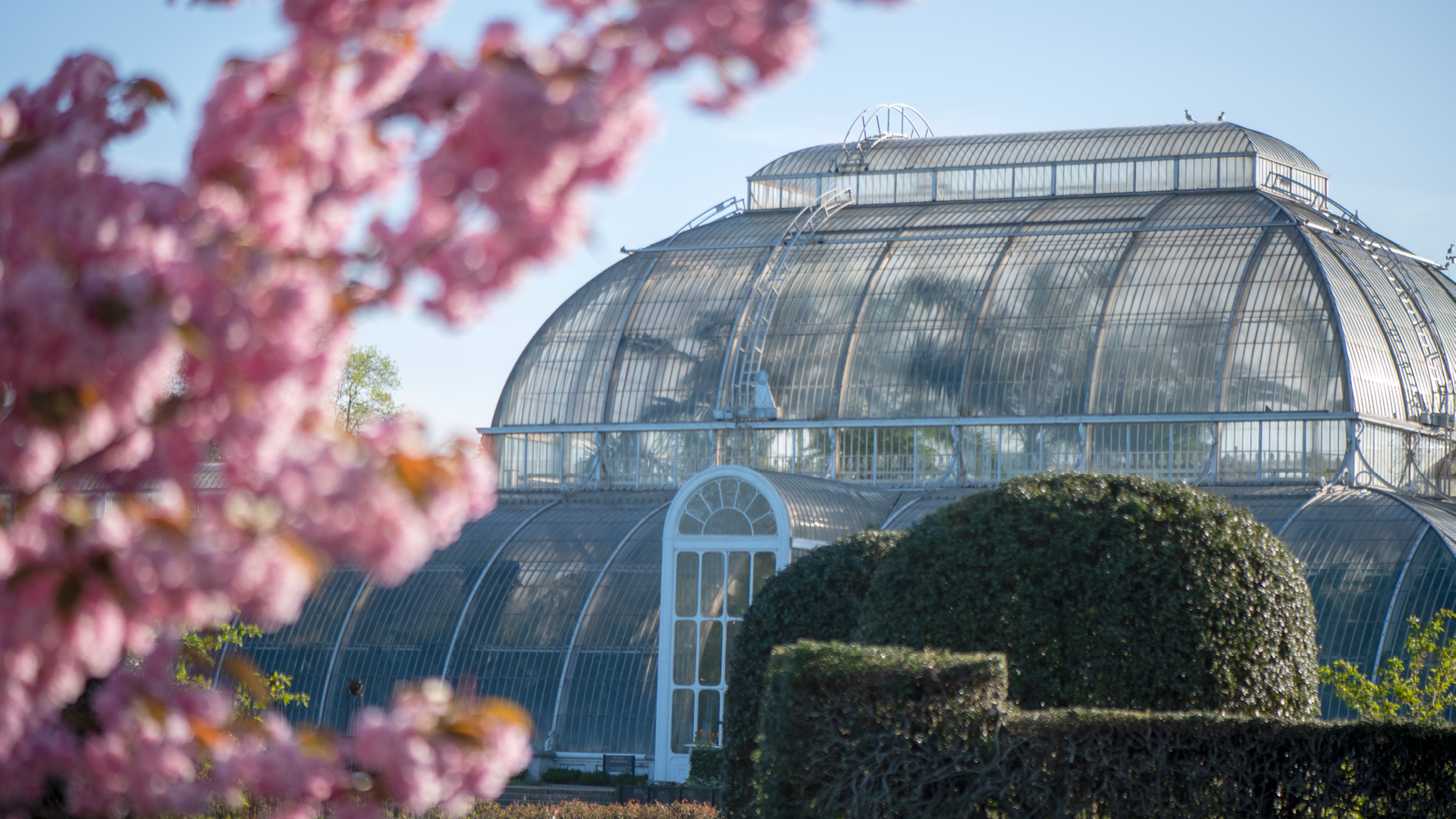 ‘Bluey’ Arrives at Kew Gardens This Easter