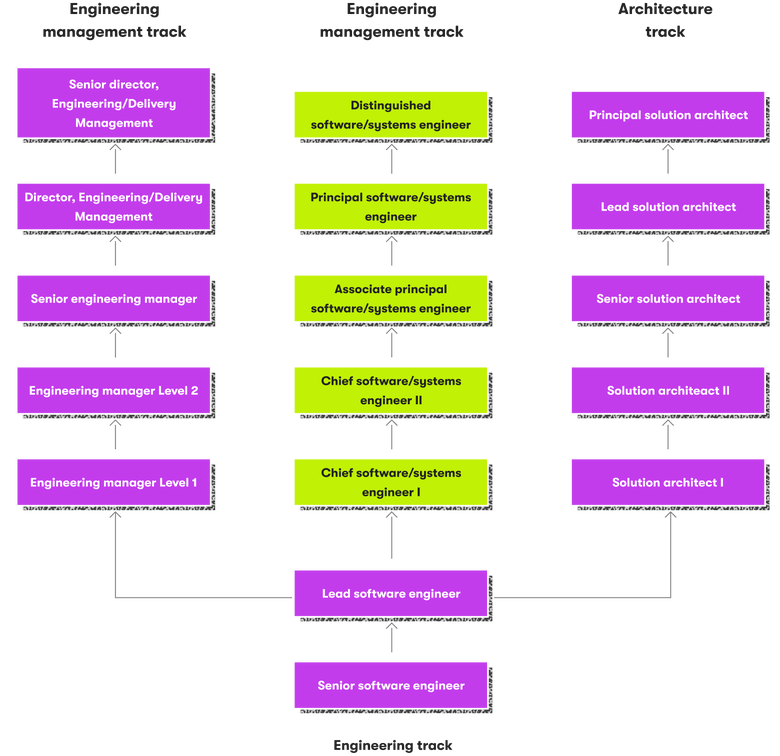Technical vs Management Career Paths: A Software Engineer’s Dilemma ...