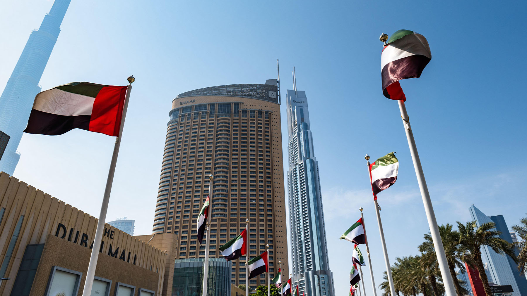 UAE Data Centers: Powering the Middle East’s AI Revolution