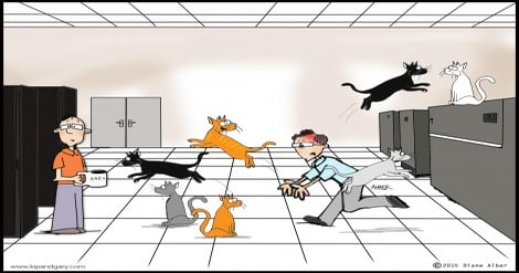 Friday Funny: Herding Cats on the Raised Floor